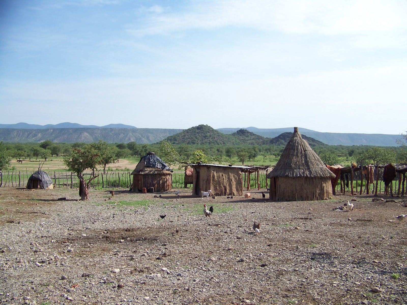 Out and About: Namibian Residents