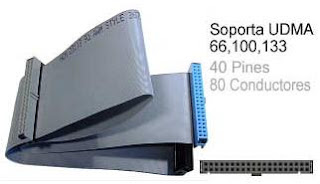 Componentes Interno de la CPU: BUSES DE DATOS