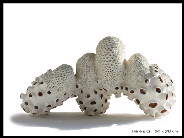 Céramique Design & Moderne: Céramique design et organique - Céramique ...