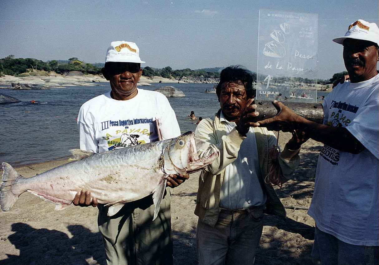 Pesca de La Payara: XI Torneo Internacional de la pesca de la Payara ...
