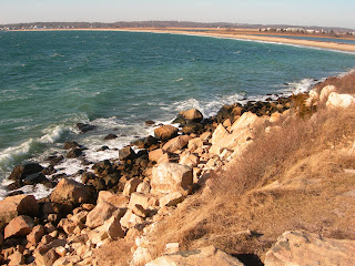 Birding Connecticut: Bluff Point State Park, Groton