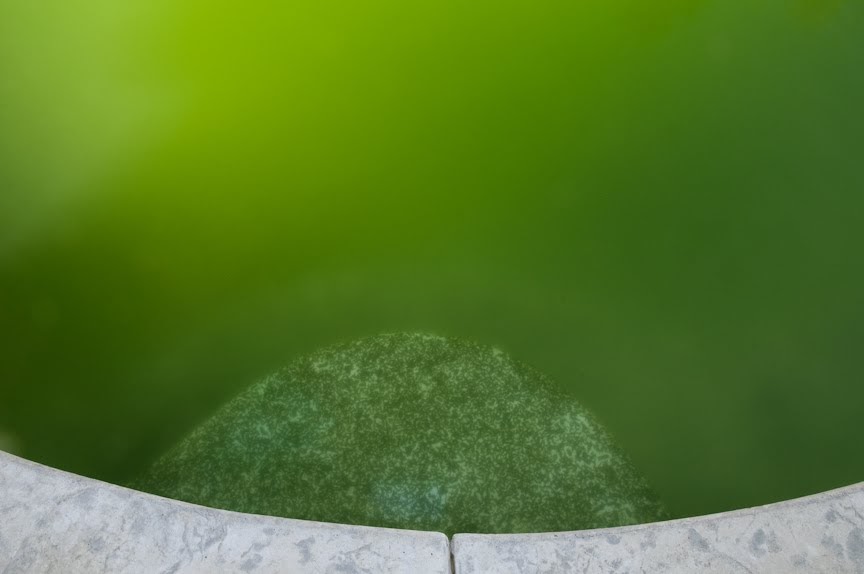 Featured Artist: Douglas Smith