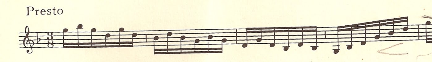 The Violin Experience: Best Practices: Efficient Violin Practice ...