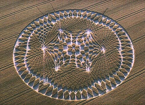 FASE DIEZ: AGROGLIFOS- CASOS FAMOSOS