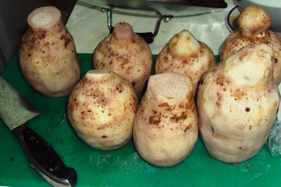 Matt's Samoa Blog: Taro-Peeling Day