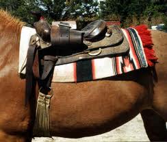 Wordmall: Lead Pipe Cinch