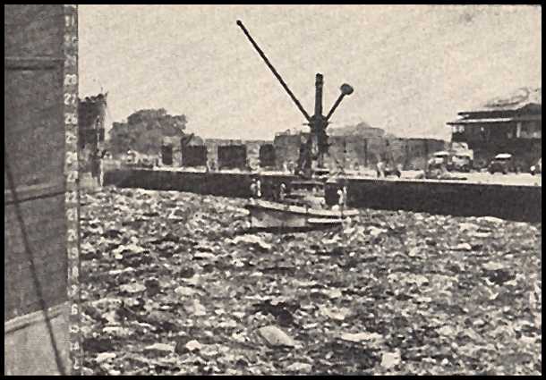 Nonsei SGM: La catástrofe del Fort Stikine