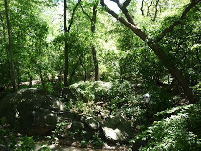 A Walk in the Ramble