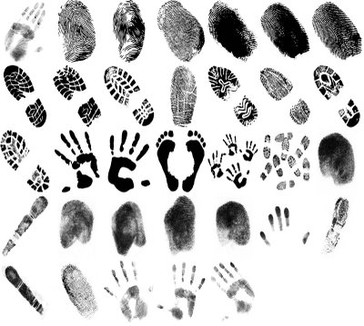 Identidad Humana: Pelmatoscopia