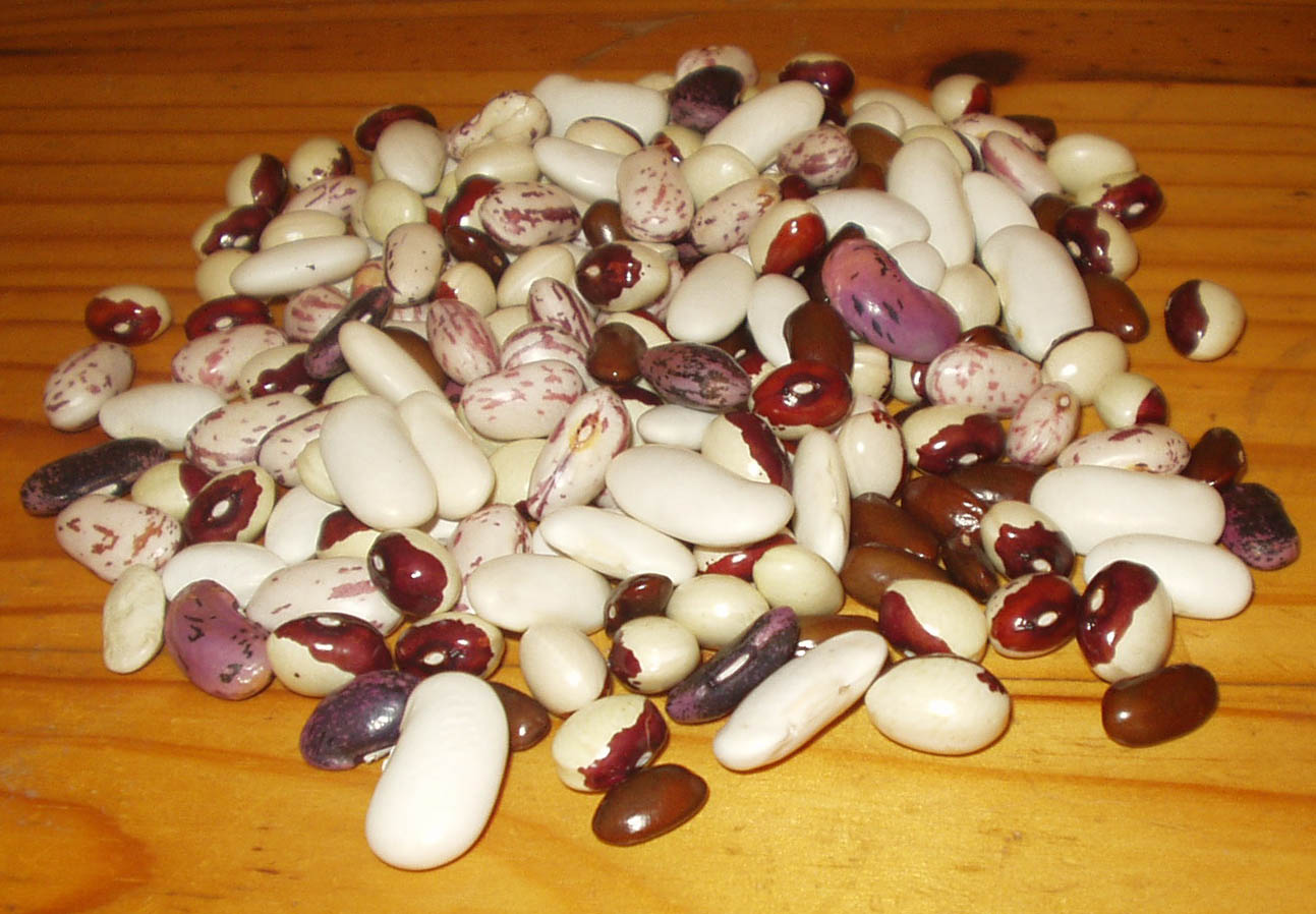 littleblackfox: September 2010