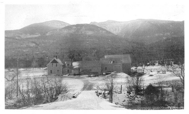 North Country Chronicles: 2010