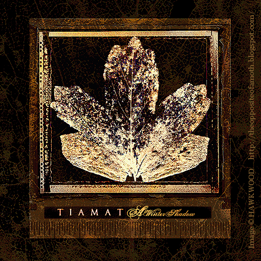 On Being the Opposite of a Moth: A Winter Shadow