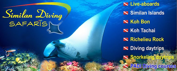 Similan Diving Safaris