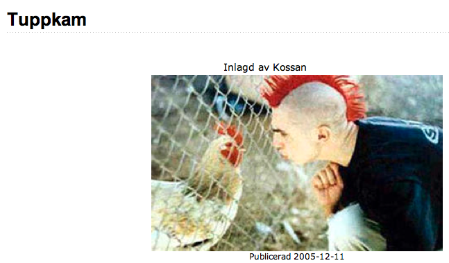 OVER & OVER(SETTER): La crête (de coq) du punk