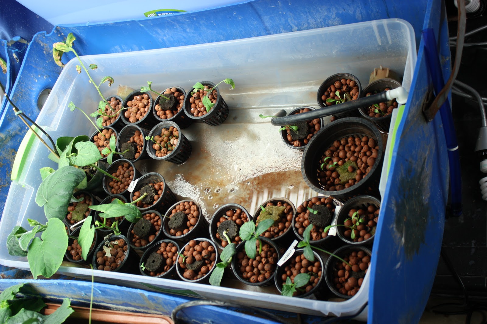 Joe's Garden: Simple hydroponic system setup