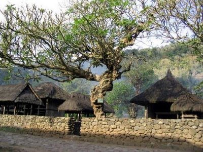 indonesia warna warni: Desa Adat Tenganan Bali