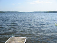 A Cabin on Wilson Pond