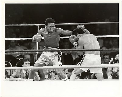 Thoughts on Boxing, Boxers and Fights: Felipe Canela