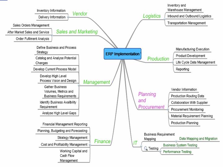 PROJECT MANAGEMENT - ERP IMPLEMENTATION: May 2010