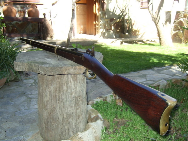 Armas de Fuego: minié