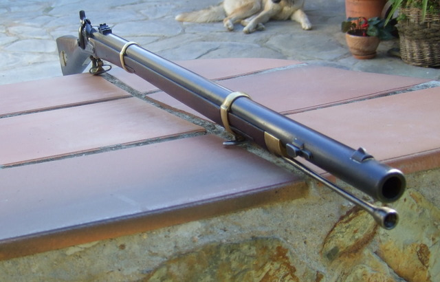 Armas de Fuego: minié