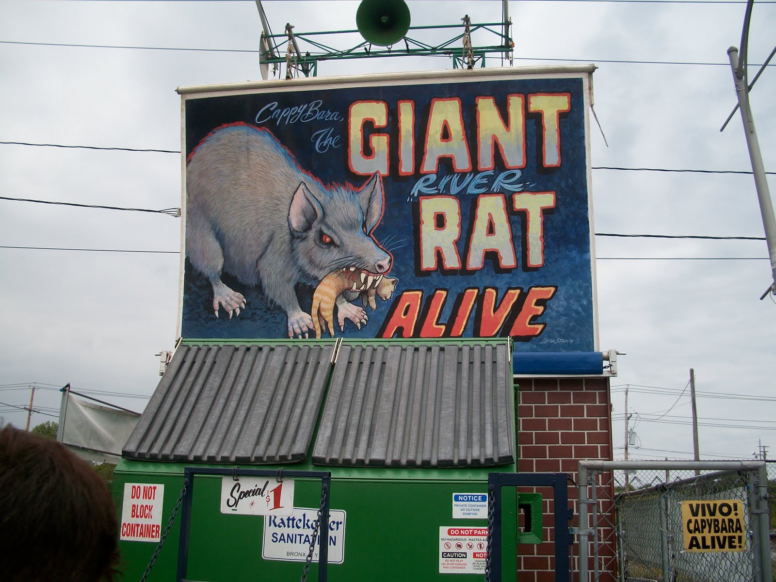 Eat Your Feelings: The Great Big Fat New York State Fair