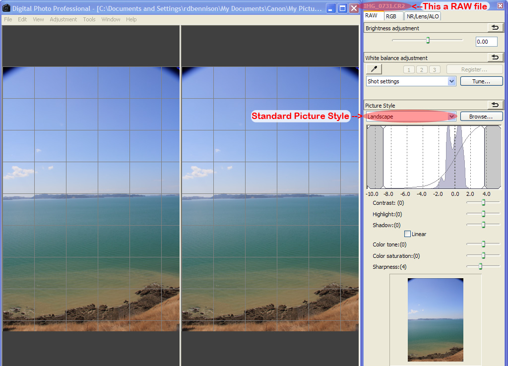 How to use the Extended Picture Style with Digital Photo Professional ...