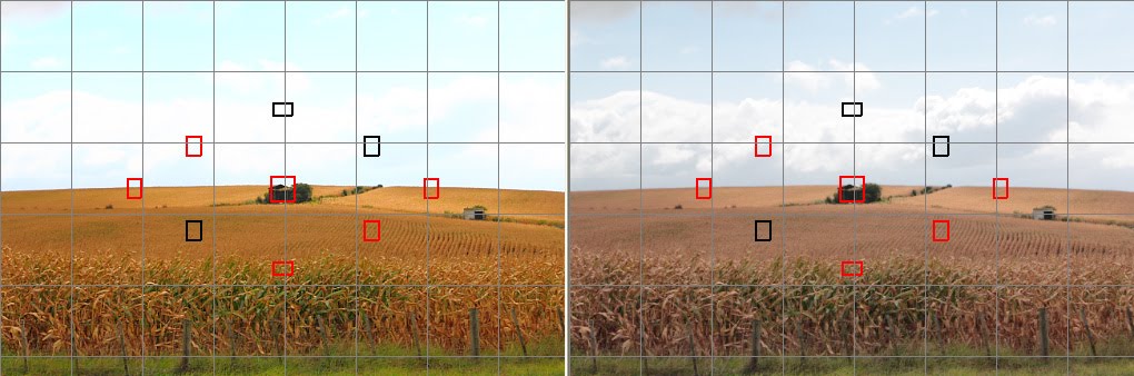 Canon Standard Picture Style and Extended Picture Style | PhotoTale