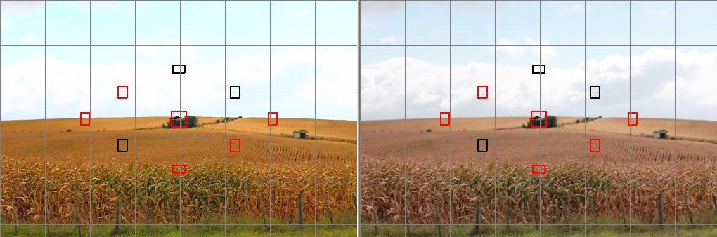 Canon Standard Picture Style and Extended Picture Style | PhotoTale