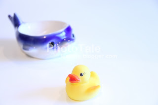 Rubber Duck Picture Story - Beginning of Ducky | PhotoTale