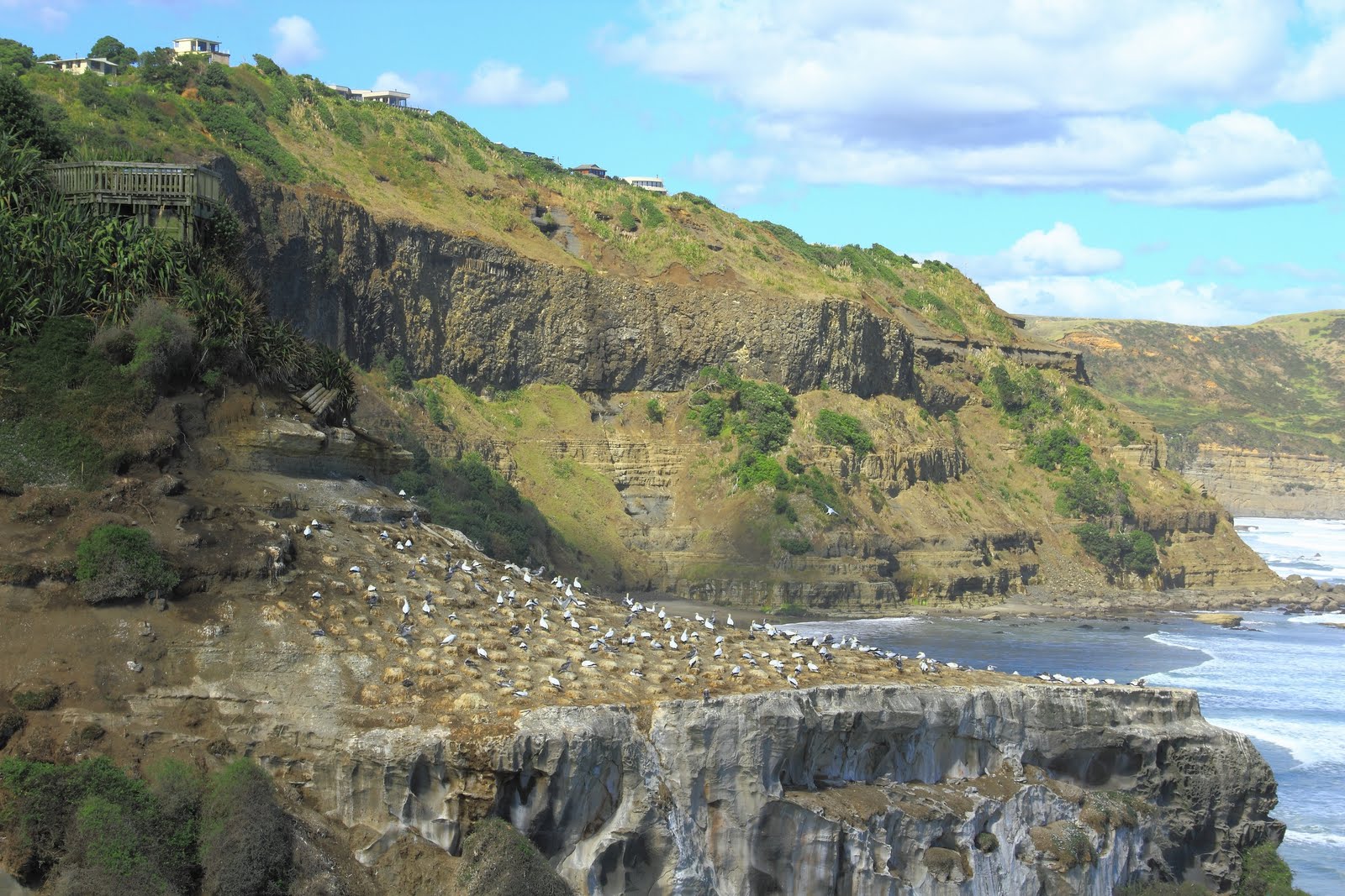 Muriwai Regional Park | PhotoTale