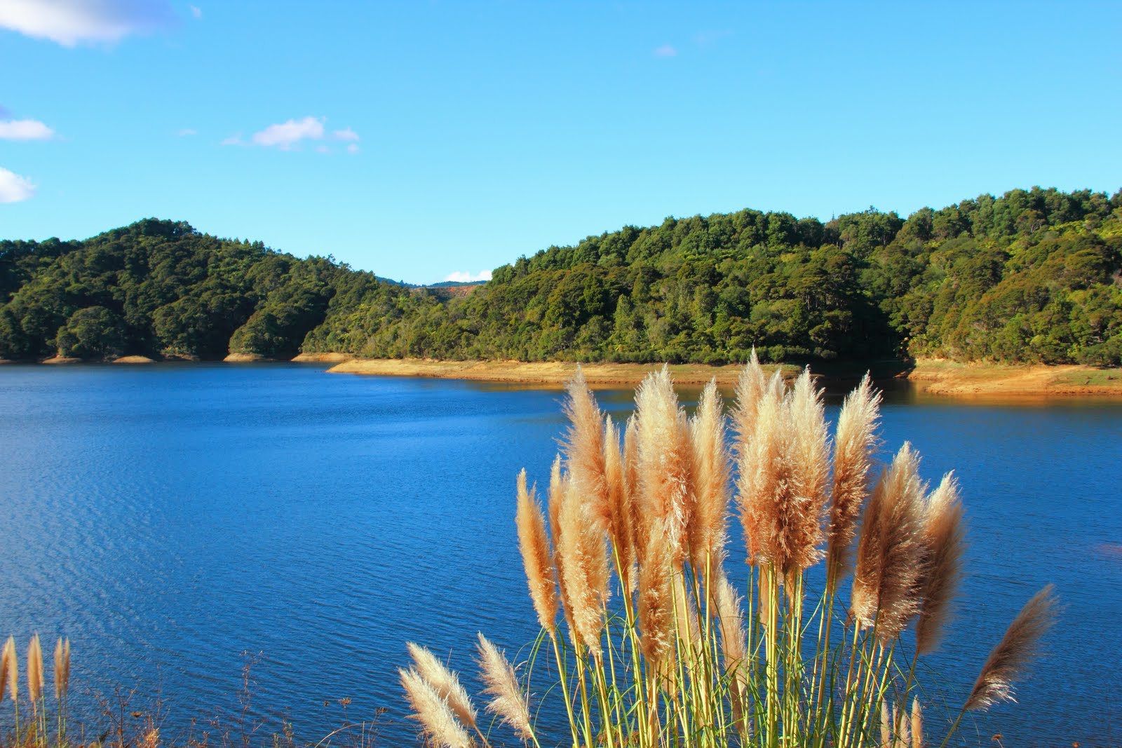 Hunua Ranges Regional Park | PhotoTale