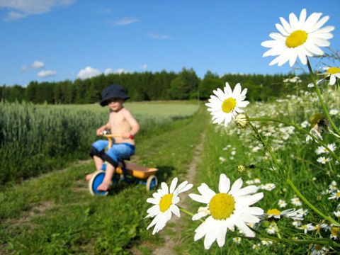 isabelle: Sommar i Sverige