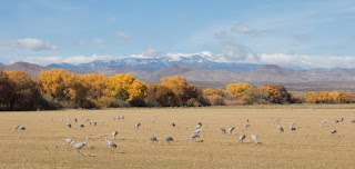 Motorcycle Accessories Unlimited: Highway 60 - Socorro, NM to ...