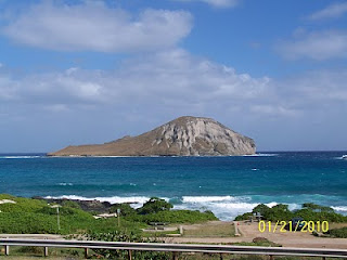 Tractor Tracks: Aloha