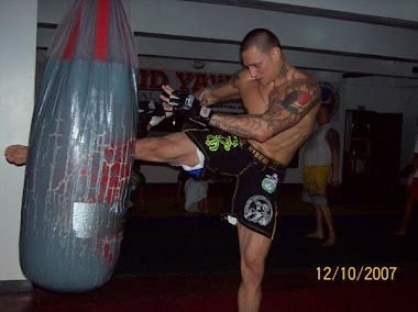 HYBRID YAW-YAN FIGHTER BAGGED U.R.C.C FASTEST K.O.