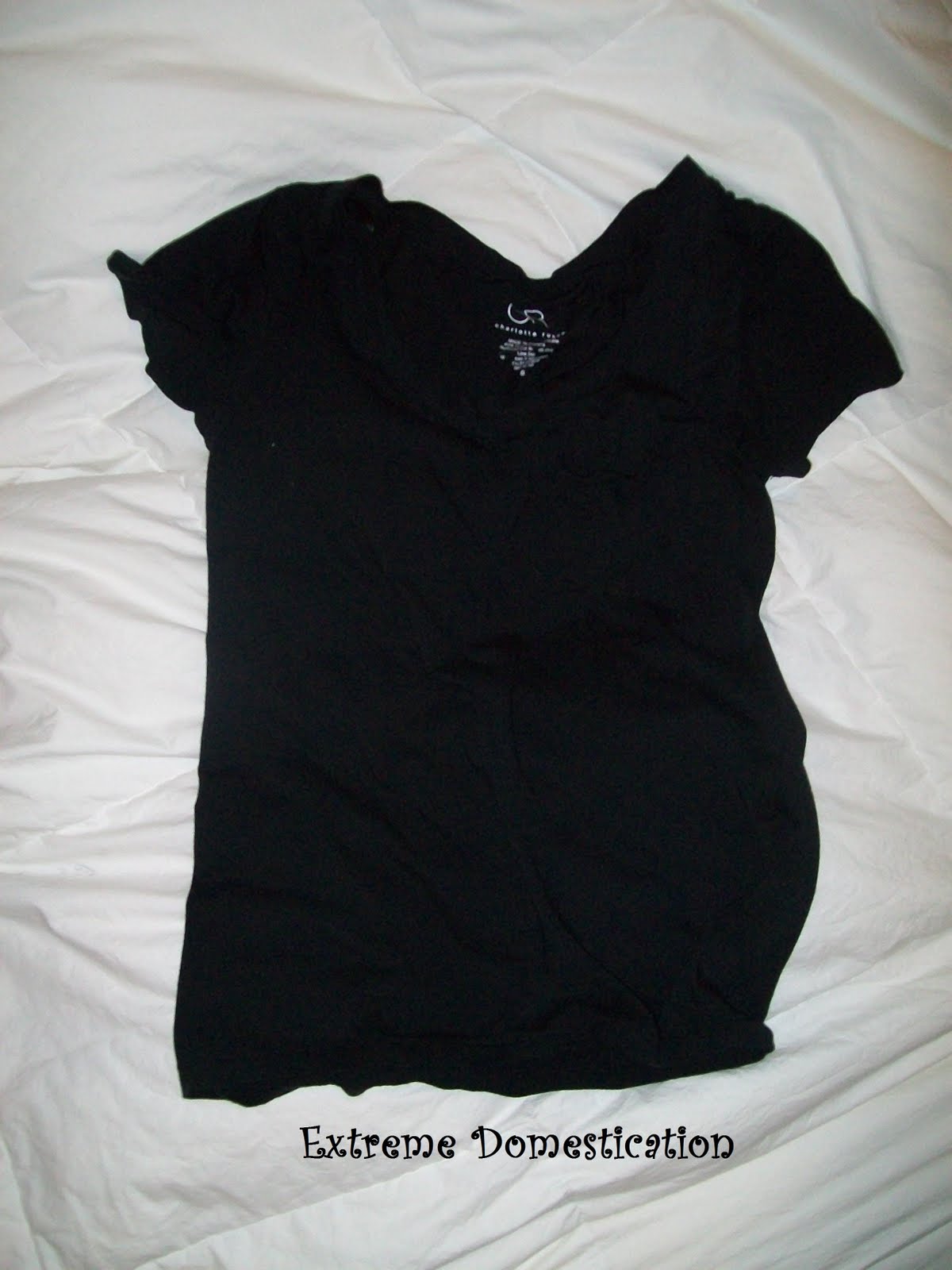 Extreme Domestication Safety Pin T Shirt
