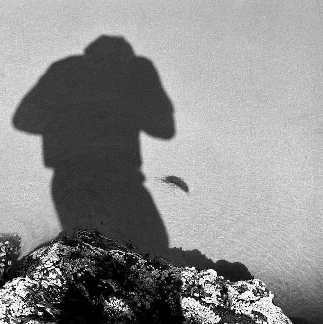 Dave Wilkinson Art: Multiple Exposure