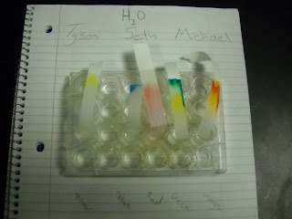 Chemistry blog: Paper Chromatography Lab