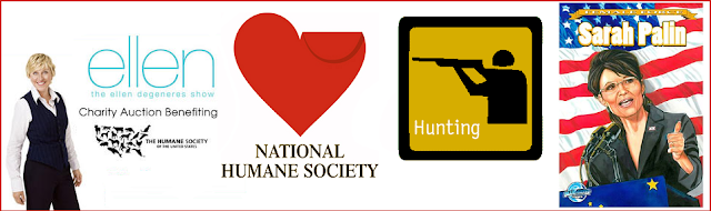 abbracadabbling: Comics In Comics: Bluewater's ELLEN DeGENERES Is True ...