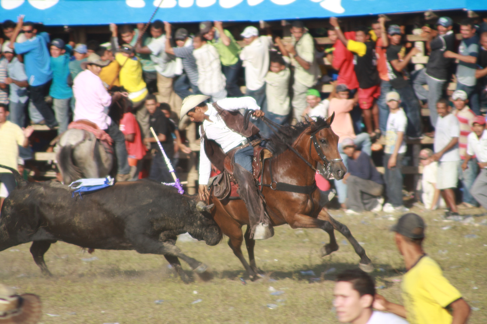 Corralejas de Sincé: Fotos de las actuales Corralejas