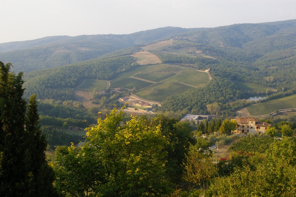 Radda-In-Chianti, Italy – Leigh Harris Consulting