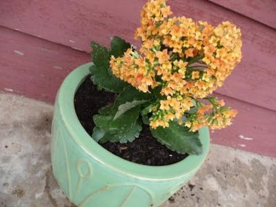 The Chemistry of Clutch: Flower Power