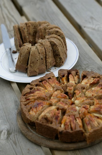 Landje van De Boer: 04/19/10