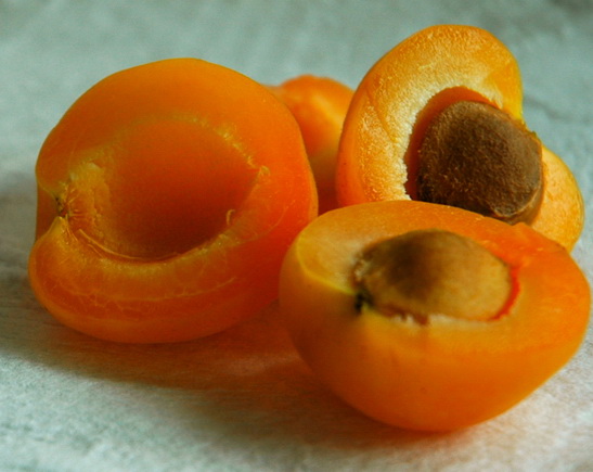 Natura: FRUCTE DE GRADINA