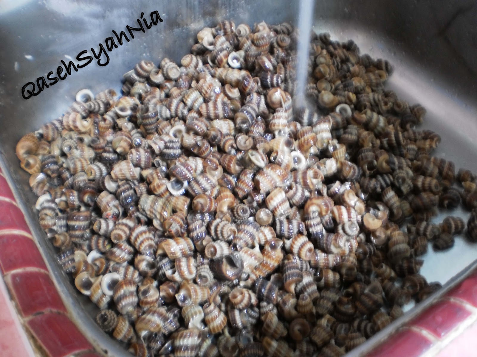 SyahNia DiaRy: ~ ALa SiPuT SeDuT-SeDuT Tu