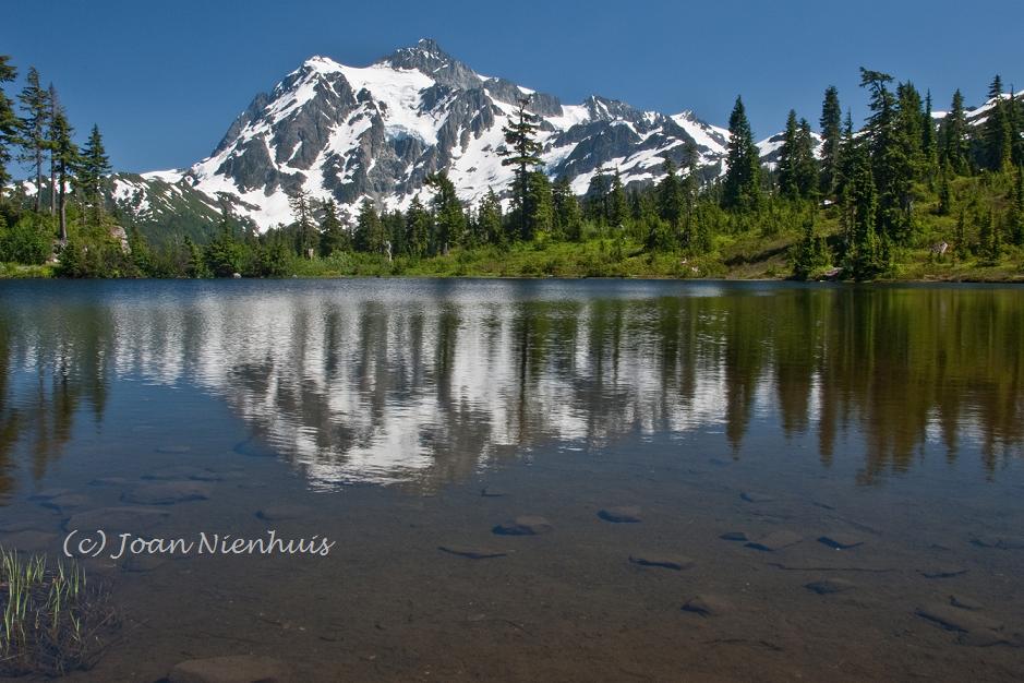 Pacific Northwest Photography: Heather Meadows, Mt. Baker Ski Area