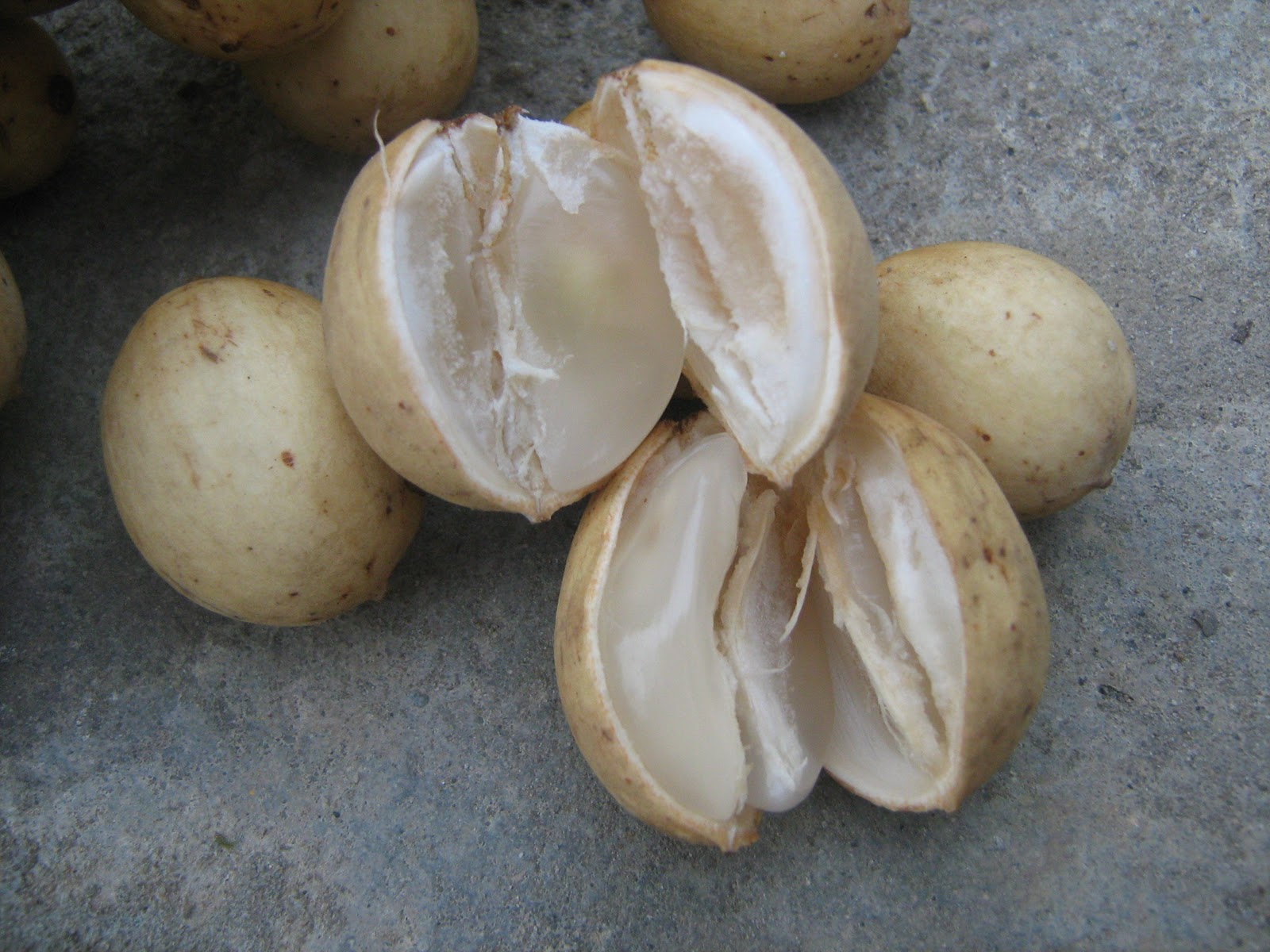 BEAUTIFUL WORLD: LANGSAT