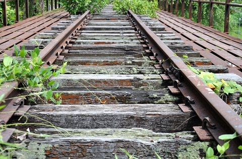 Welcome to my busybody corner...: An abandoned railway track... A ...