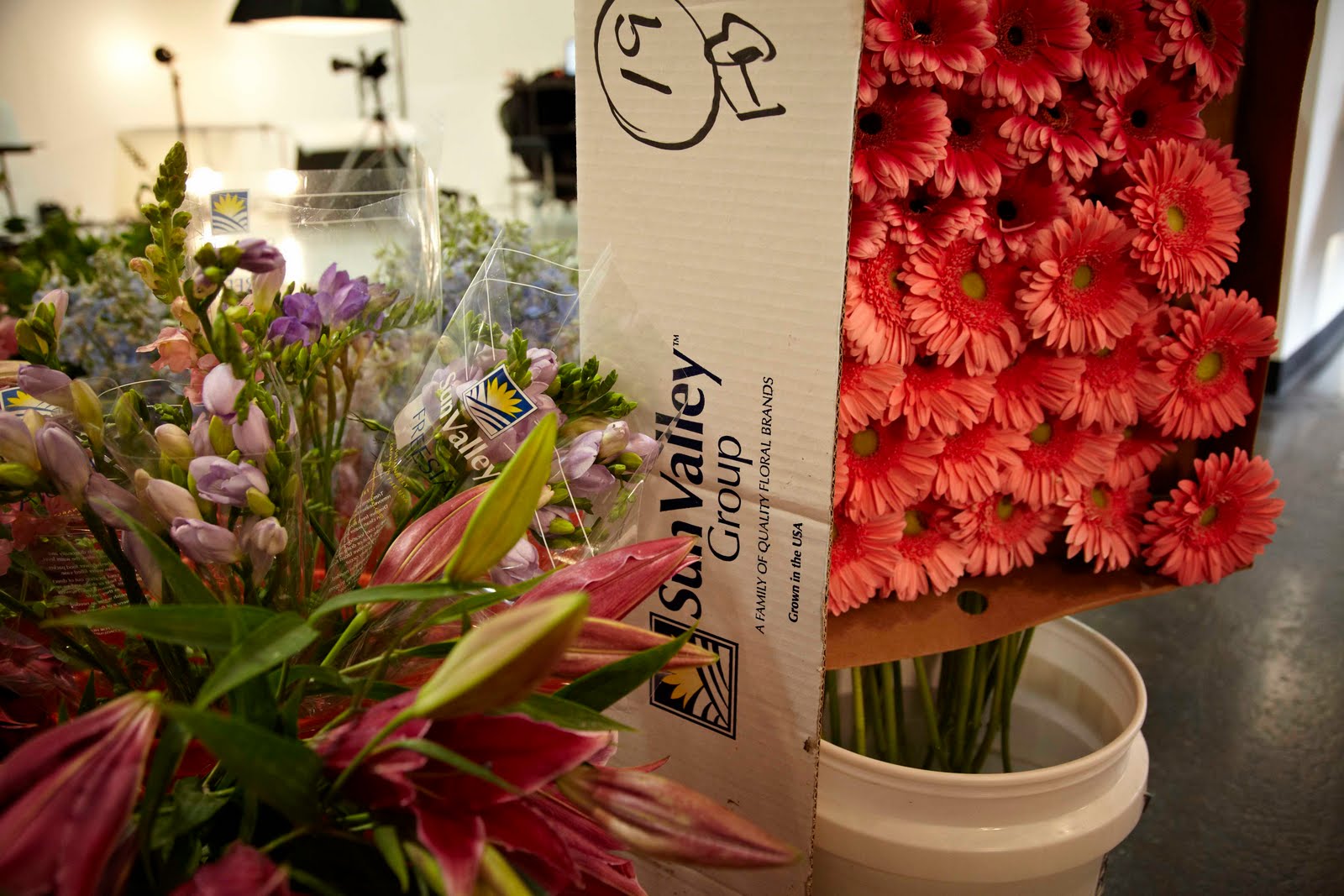 Els in Action - Accent Decor Blog